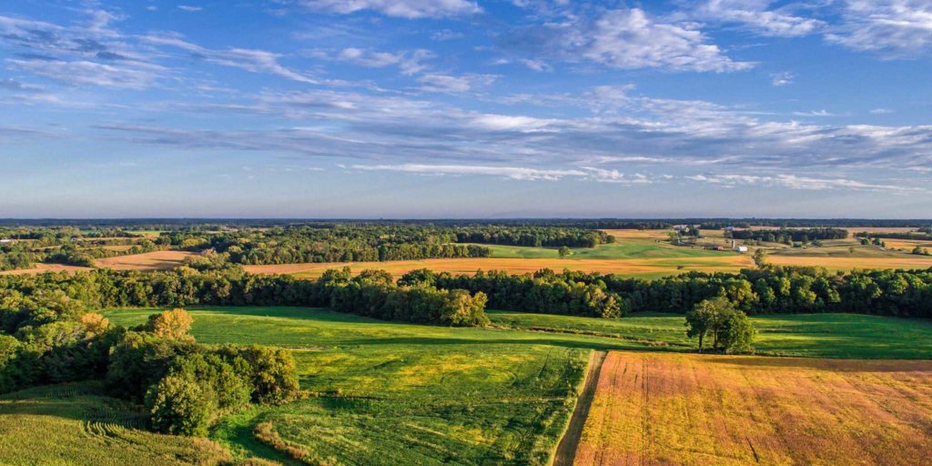 Residential Land Development | Point Real Estate